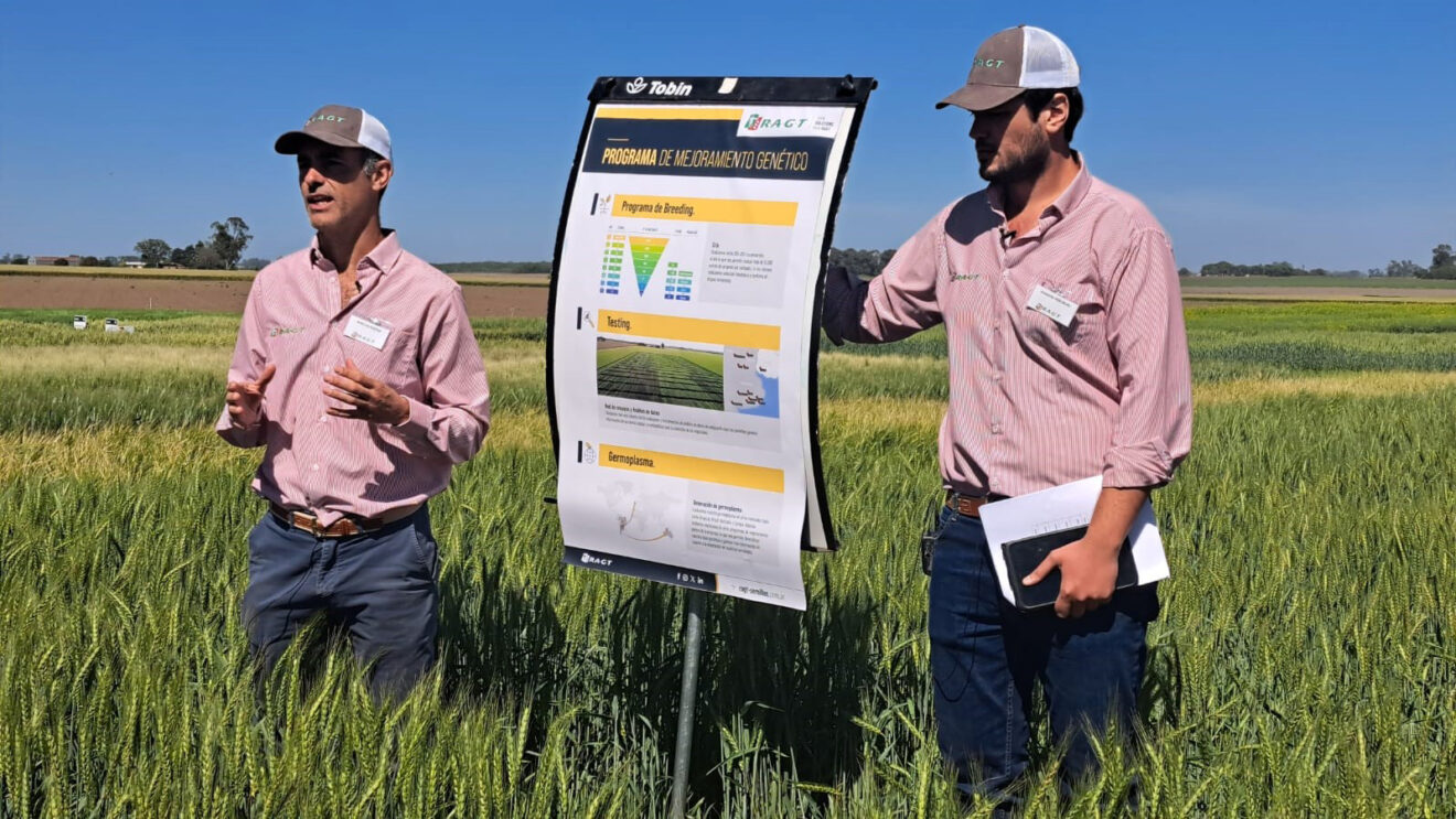 Ragt Semillas, la nueva genética que llega de Francia - Perspectives